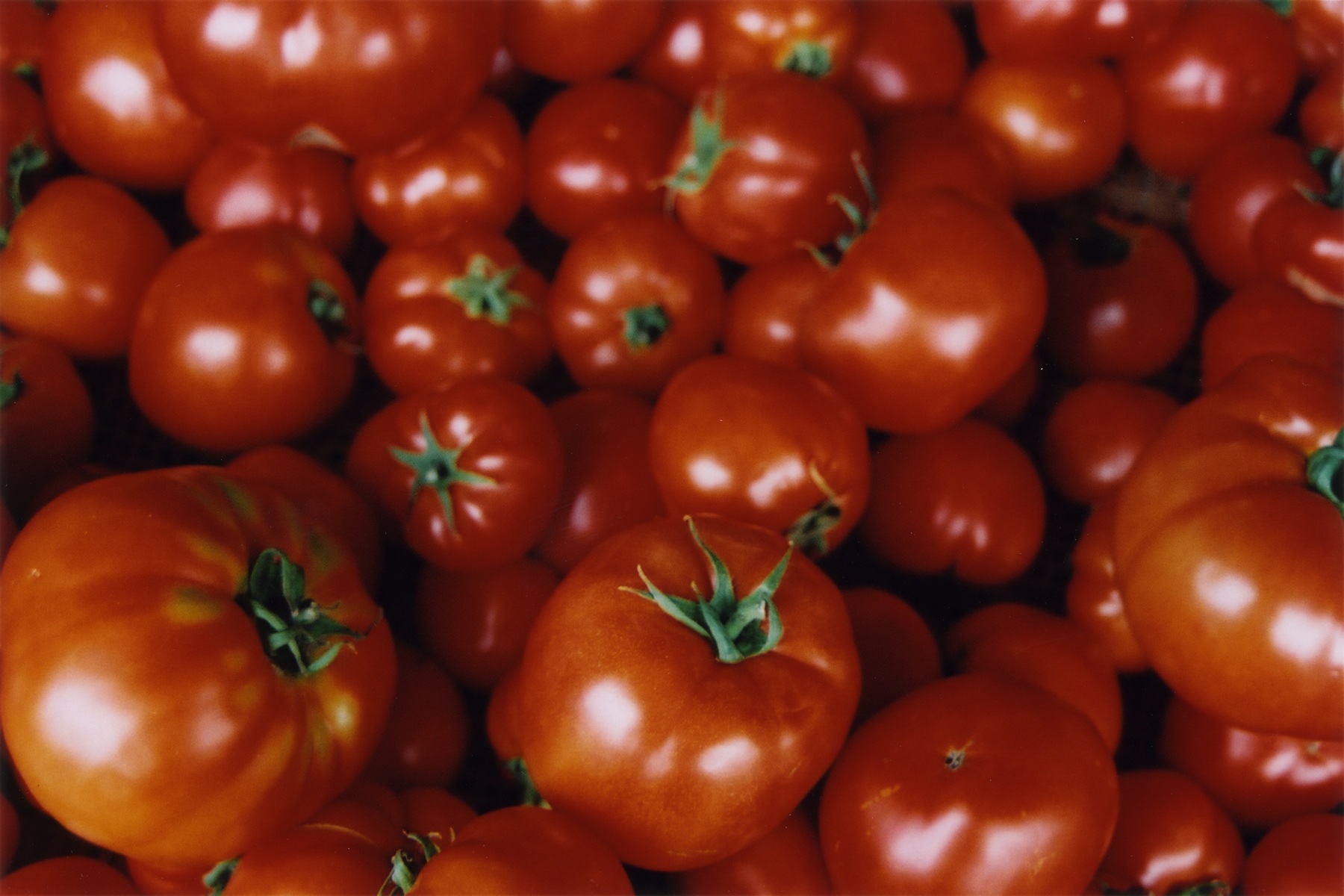 8 things you can do to fight food waste - BrightVibes