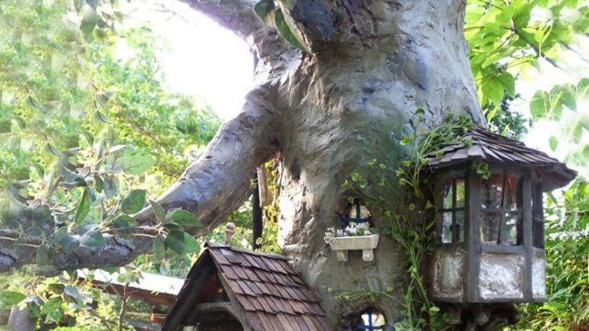 12 Trippy Tree Trunk Transformations That Will Blow Your Mind ...