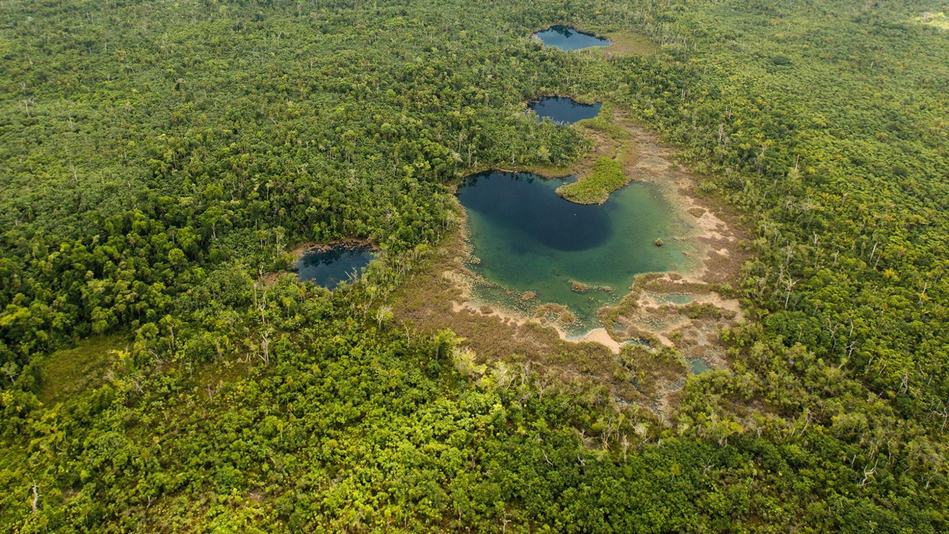 Belize: unprecedented deal to preserve Maya Forest boosts total ...