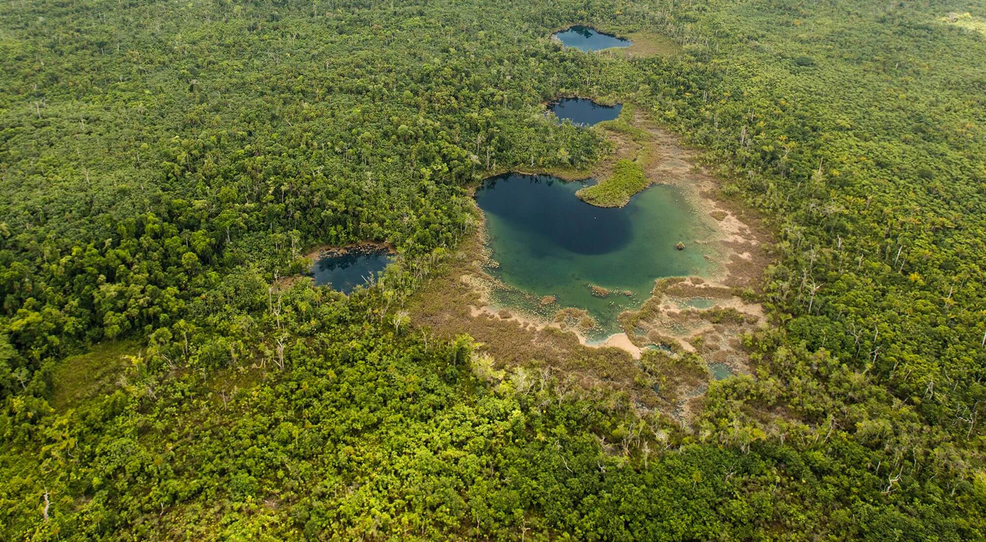 Belize: unprecedented deal to preserve Maya Forest boosts total ...