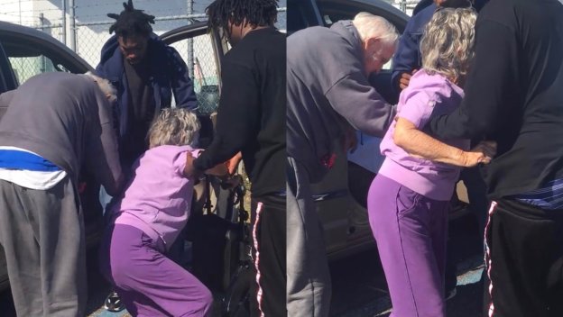 Discover how trees secretly talk to each other using the "Wood Wide Web ...