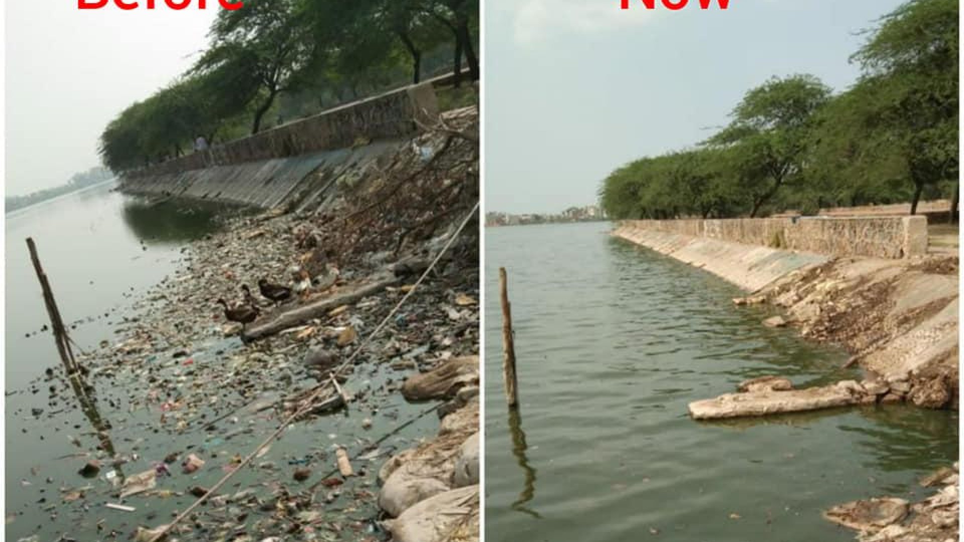 Indian Eco-warrior fights water crisis by revitalising dying ponds ...