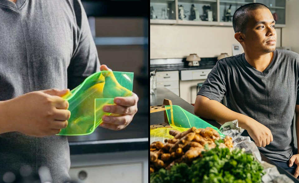 Solar windows made with rotten veg—how food waste can power homes ...