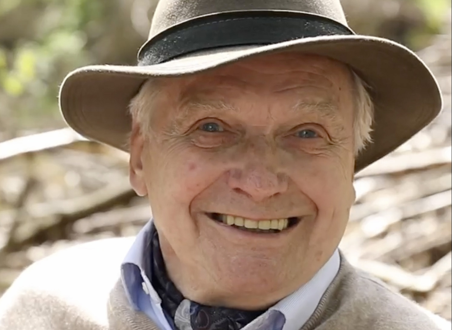 How this 92-year-old German forester has seen our forests change over ...