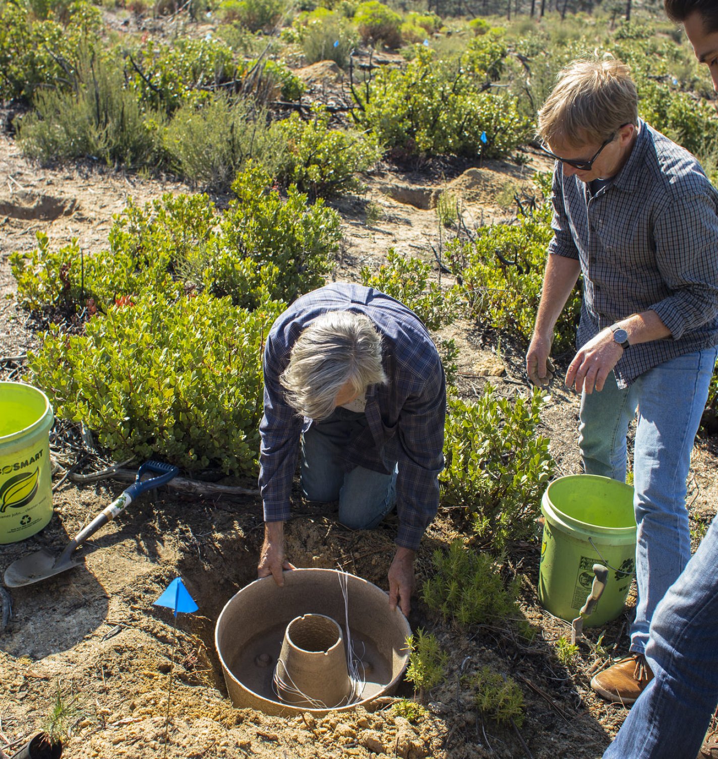 National Postcode's 'Green Challenge' partners with BrightVibes