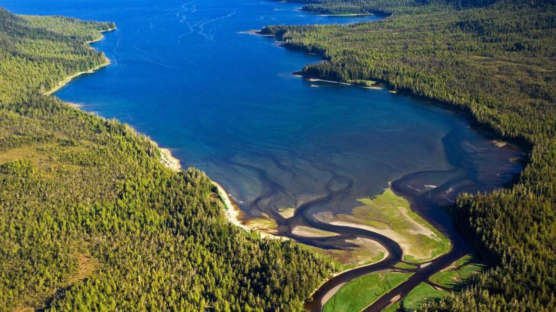 United States Govt. to Restore Protections for Alaska’s Tongass ...