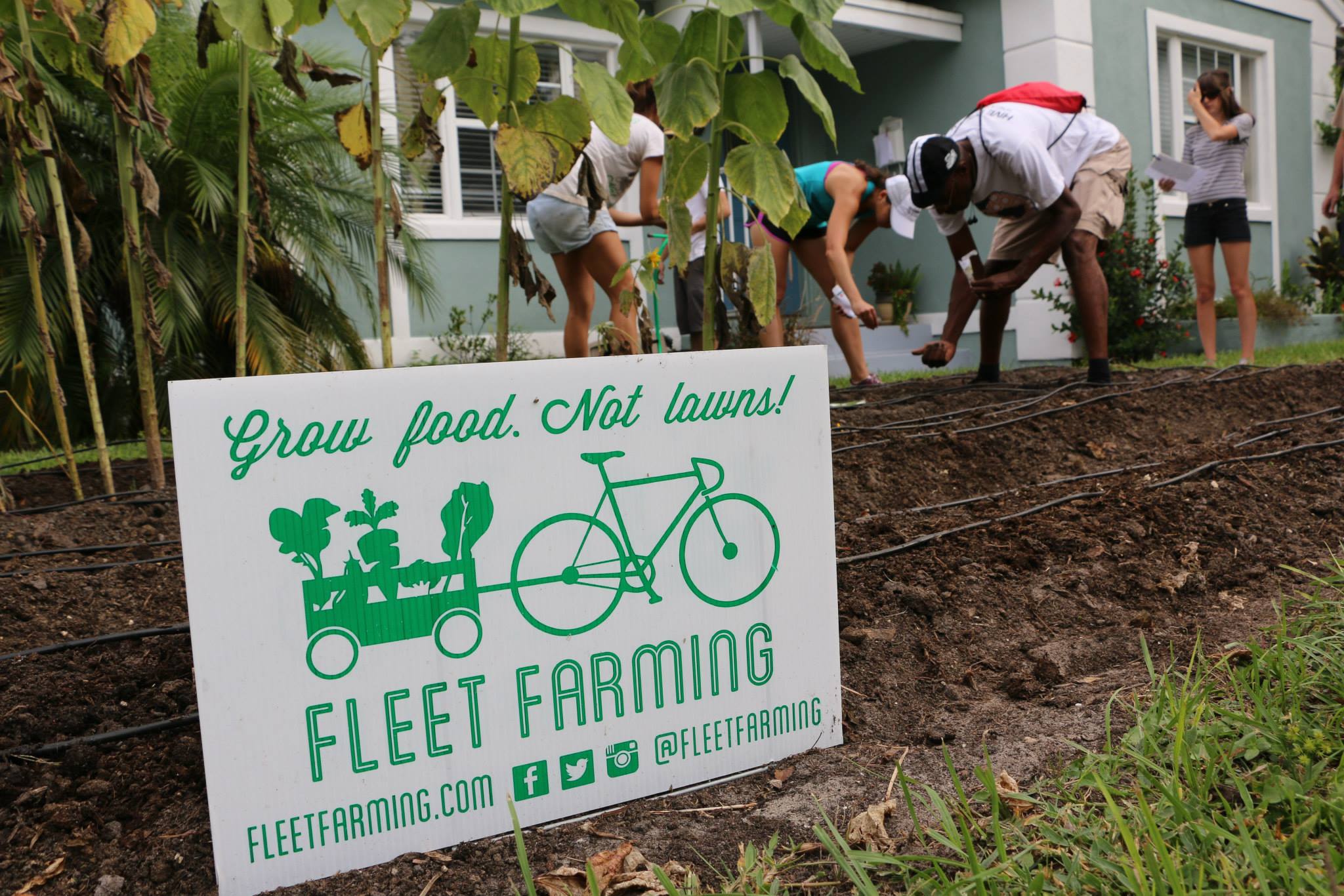 Fleet farming: how one group wants to turn your garden into a fully ...