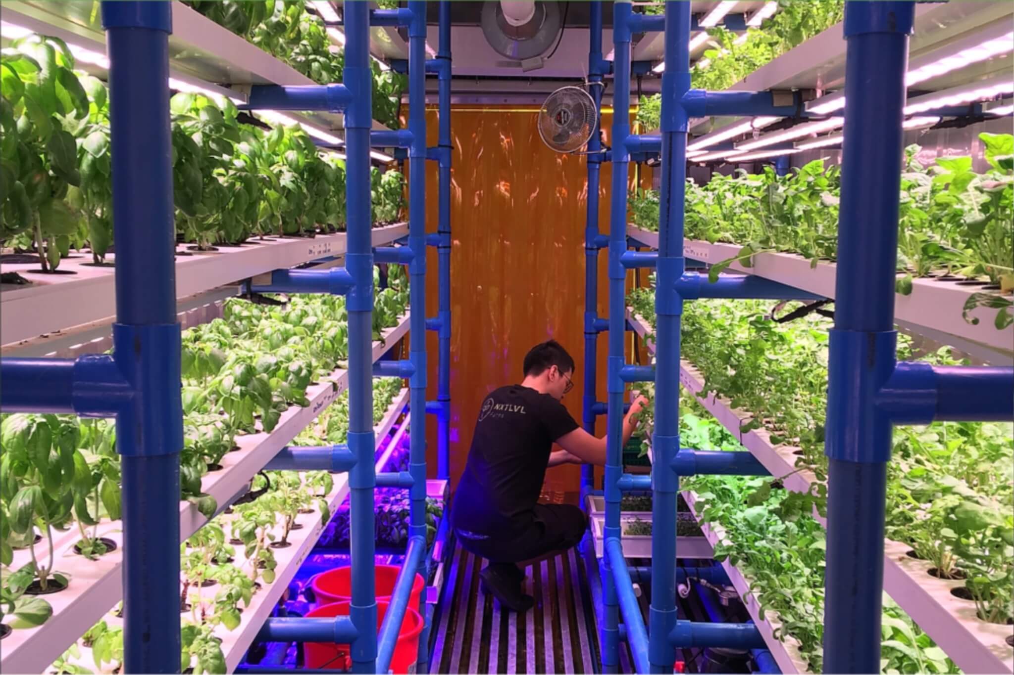How cities will feed their citizens in the future - BrightVibes