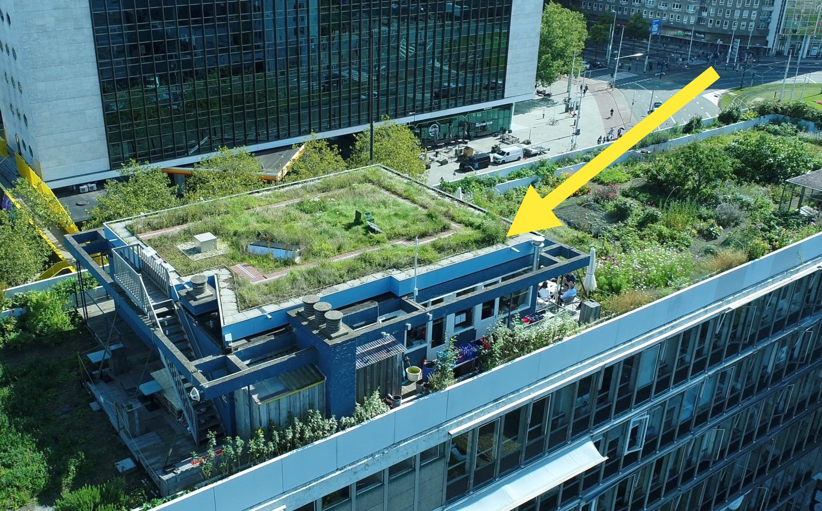 This green smart-roof in Rotterdam that helps prevent flooding ...
