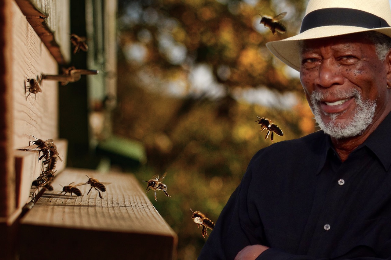 Morgan Freeman transformed his 124-acre ranch into a bee sanctuary ...